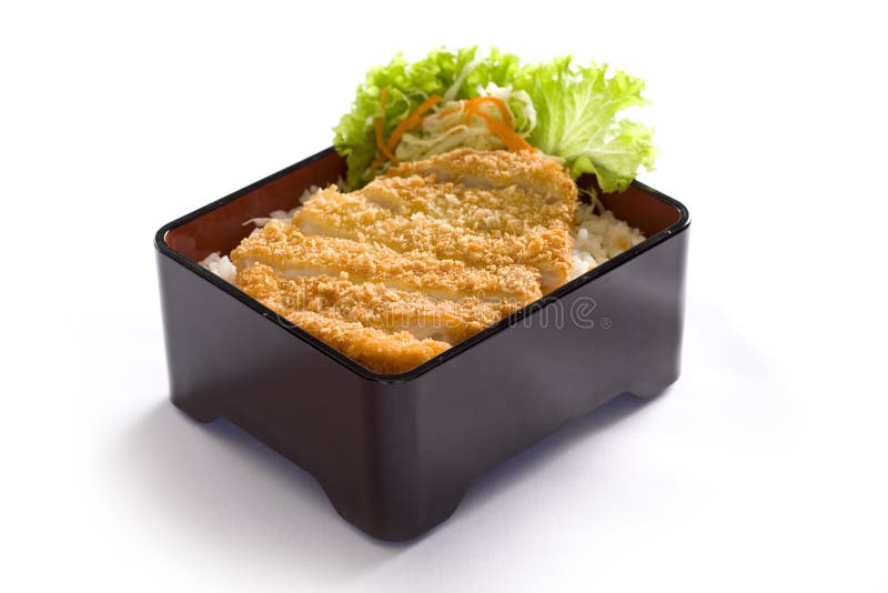 Tonkatsu with Rice stock photo. Image of steamed, plate - 33331410
