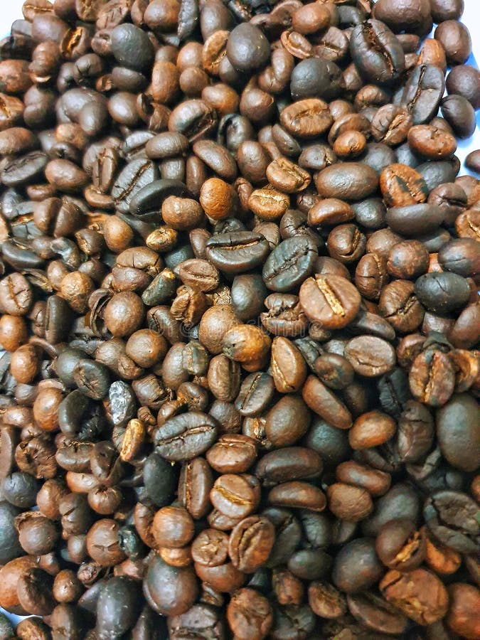 Beans Coffee Dark Roasted Arabika Stock Image - Image of arabika, tons ...