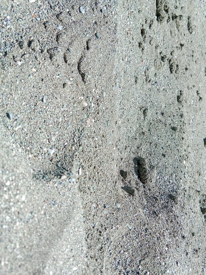 Too Hot To Step on the Beach Sand Stock Photo - Image of flooring ...