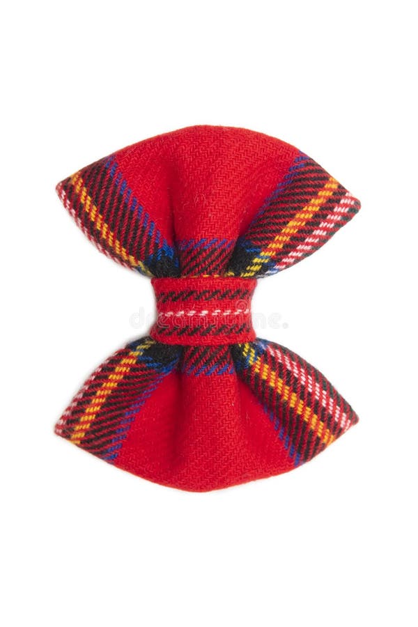 Toog Tree at Chiang Mai, Thailand Stock Photo - Image of landscape ...