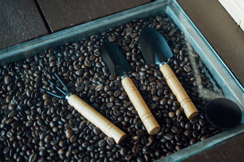 A tool and coffee bean stock photo. Image of financial - 91093426