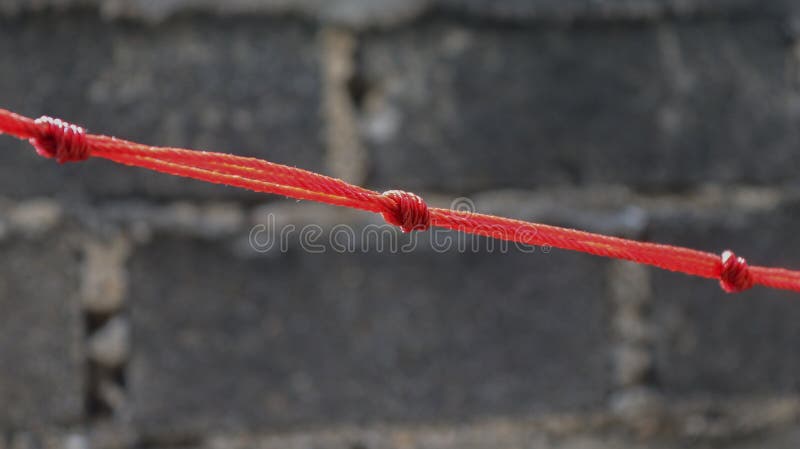 A Tool for Drying Clothes Made of Red Rope Stock Photo - Image of plant ...