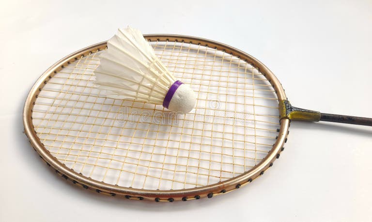 A Tool for Playing Badminton Consisting of a Racket and Shuttlecock ...