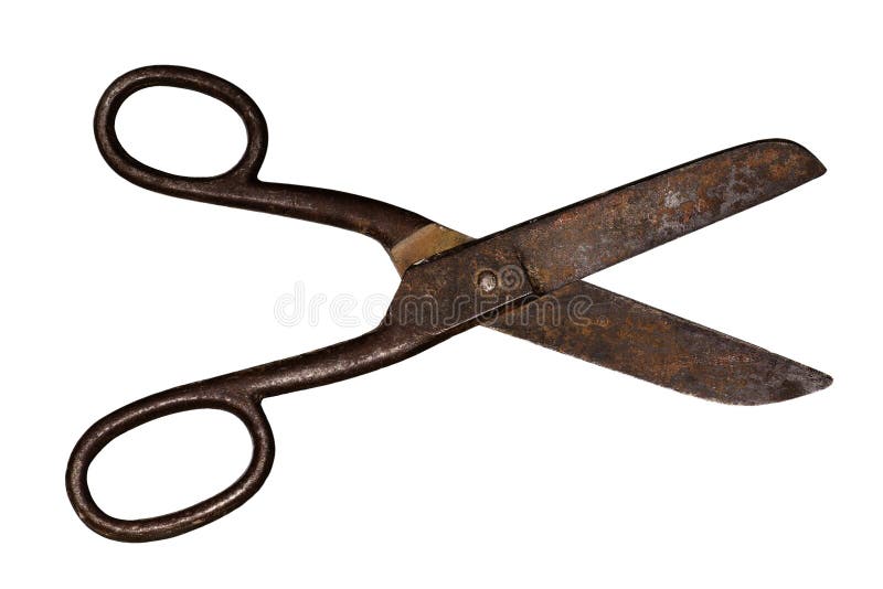 Tool Scissors Metal Handle Picture. Image: 19926599