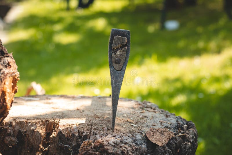 Tool for Splitting Wood Stuck in a Tree Stump. an Ancient, Homemade Axe ...