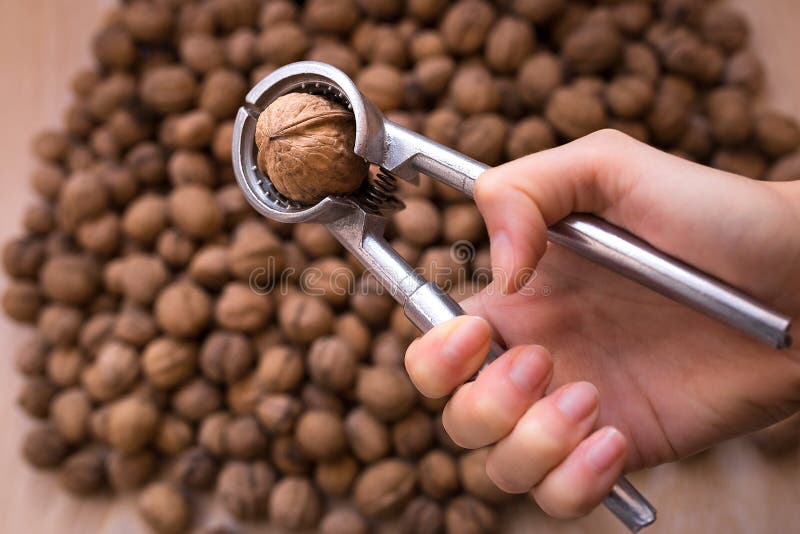 2,187 Nuts Split Stock Photos - Free & Royalty-Free Stock Photos from ...