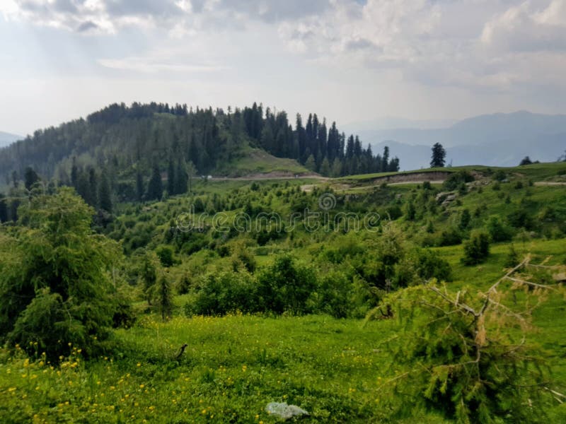 Tooli peer azad kashmir foto de stock. Imagem de grama - 253706576