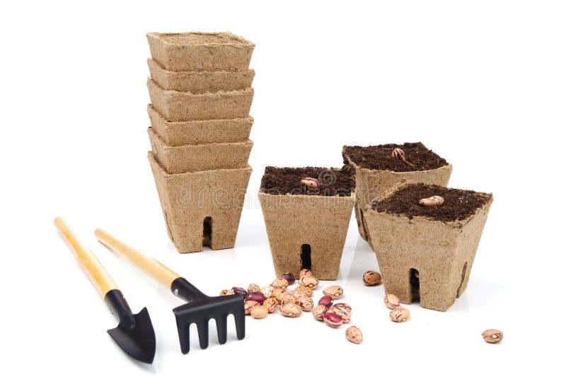 Tools for Gardening and Seeds Stock Image - Image of flowerpot, garden ...