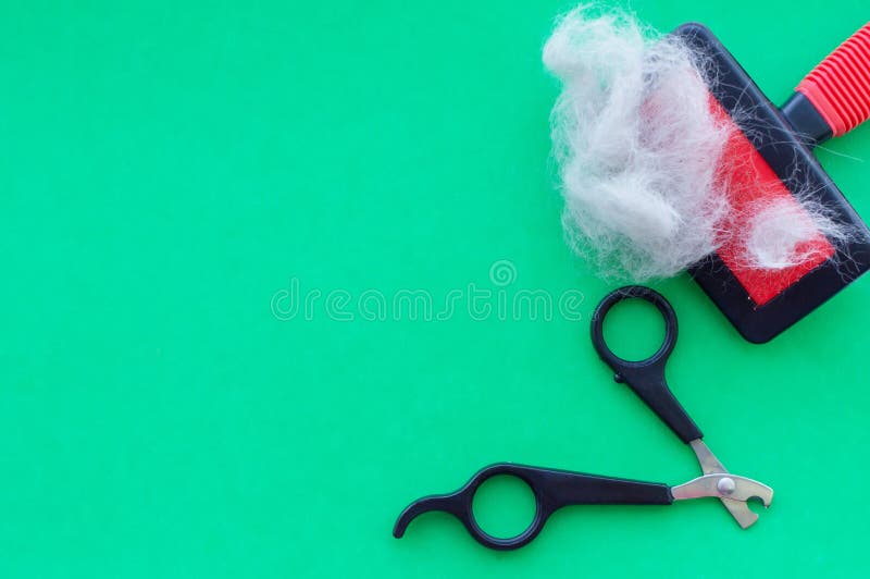 Tools after Grooming a Cat on a Green Background. Comb, Scissors Stock ...