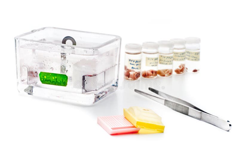 Biopsy Jar Isolated White Background Stock Photos - Free & Royalty-Free ...