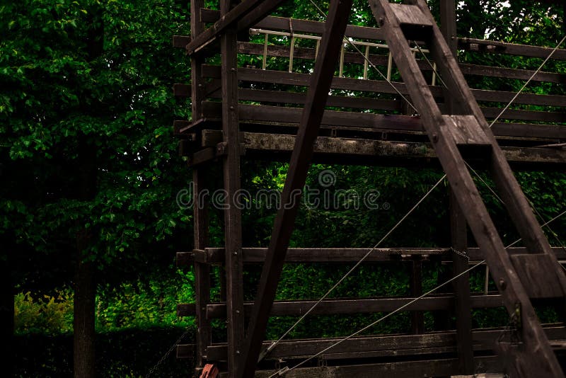 Wooden Scaffolding for Pruning and Tree Care in the Park Stock Photo ...
