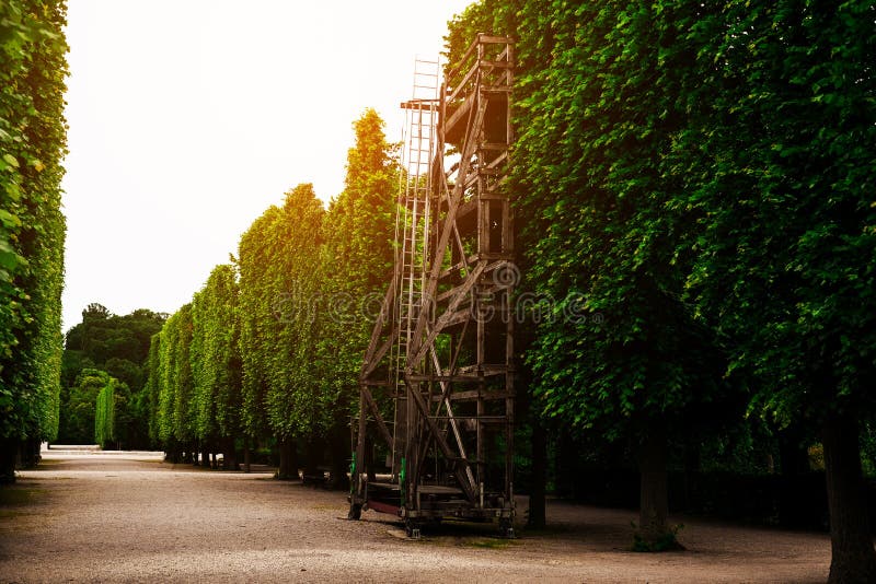 Wooden Scaffolding for Pruning and Tree Care in the Park Stock Photo ...