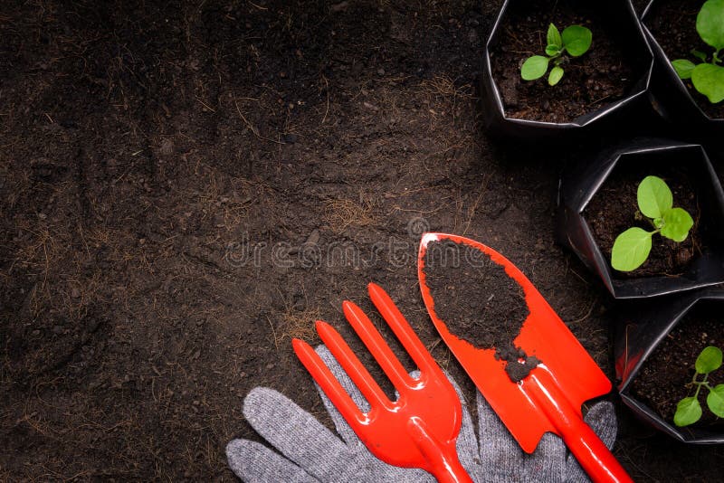 Tools on Planting a Black Tree on the Ground Stock Image - Image of ...