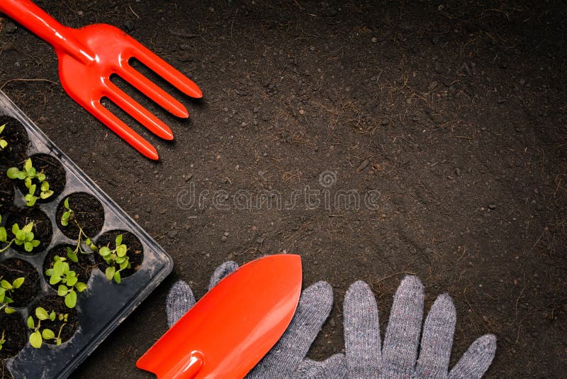Tools on Planting a Black Tree on the Ground Stock Image - Image of ...