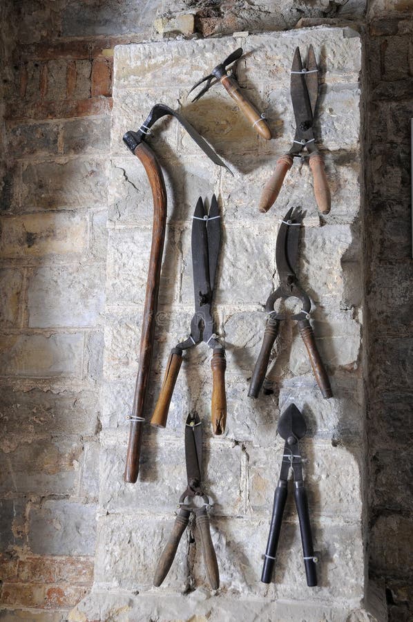 Tools for Processing of Bushes of Grapes. Stock Image - Image of ...