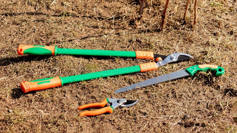 Tools for Pruning Trees and Bushes, a Saw, Large and Small Scissors, in ...