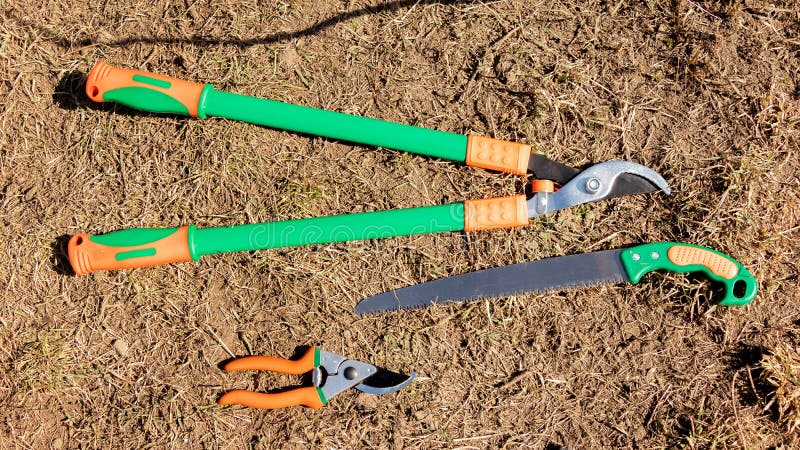 Tools for Pruning Trees and Bushes, a Saw, Large and Small Scissors, in ...