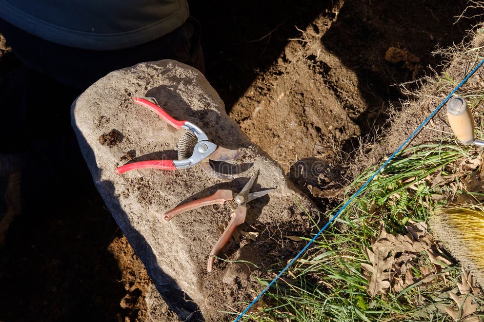 Tools, Trowel, Pruning Shears and Broom in an Archaeological Dig Stock ...
