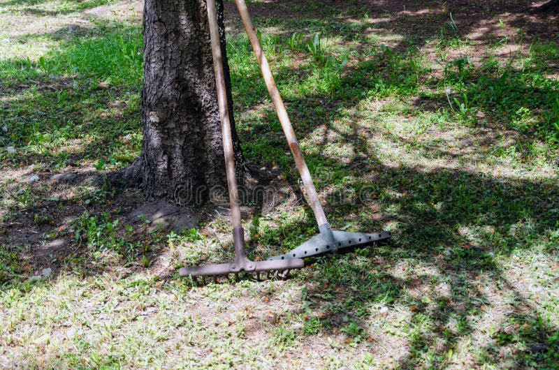 Tools for Work in the Garden Stock Photo - Image of fruit, leaf: 148494376