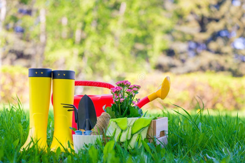 Tools for Working in the Garden, Objects for Spring Work Stock Image ...
