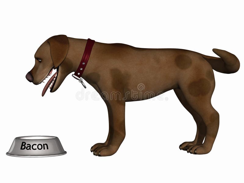 Toon Dog stock illustration. Illustration of model, poser - 13341836