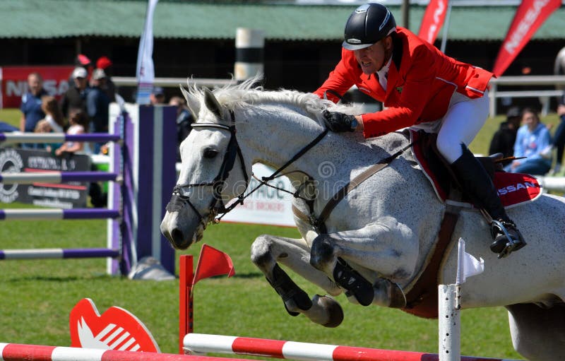 Toon Het Springen Paard En Ruiter Redactionele Afbeelding - Image of ...