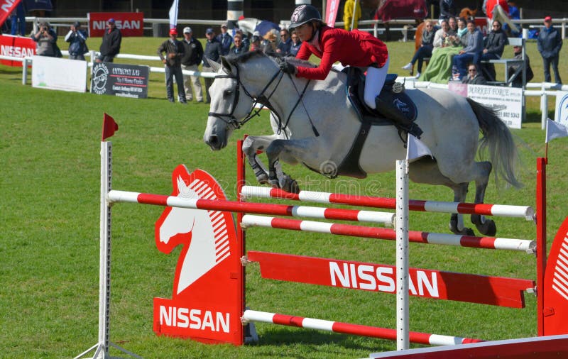 Toon Het Springen Paard En Ruiter Redactionele Stock Afbeelding - Image ...