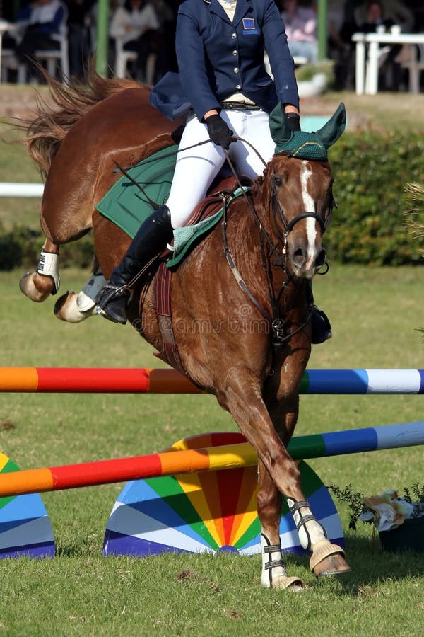 Springpaard en Ruiter stock afbeelding. Image of merrie - 5671991