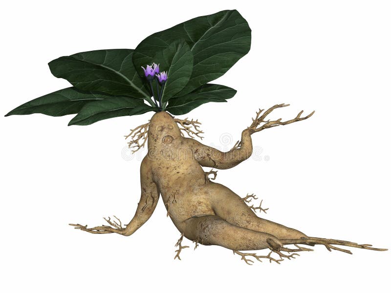 Toon root tuber stock illustration. Illustration of heap - 20015101