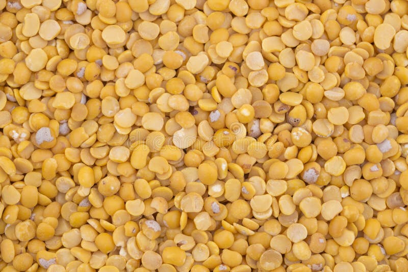 Toor Dal stock photo. Image of gram, seed, pulse, grain - 105602904