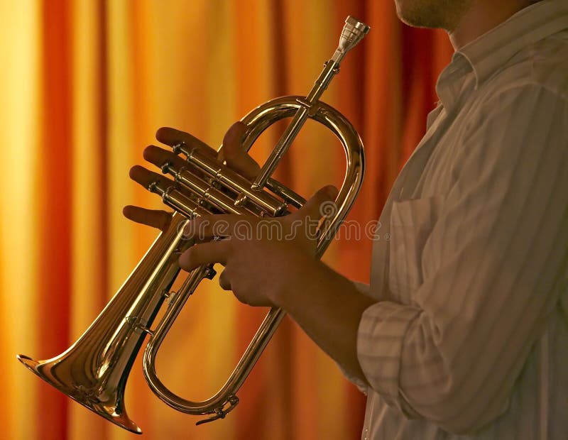 Tooter stock image. Image of tooter, music, musical, instrument - 5845541
