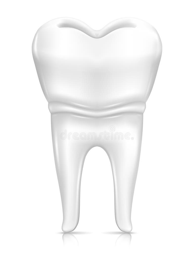 Tooth Mesh Stock Illustrations – 1,667 Tooth Mesh Stock Illustrations ...