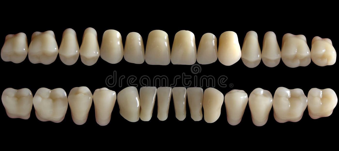 11,323 Single Tooth Stock Photos - Free & Royalty-Free Stock Photos ...