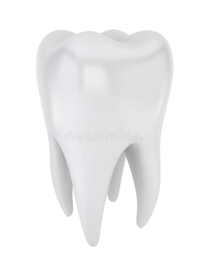 Types of Teeth Realistic Various Human Stock Vector - Illustration of ...