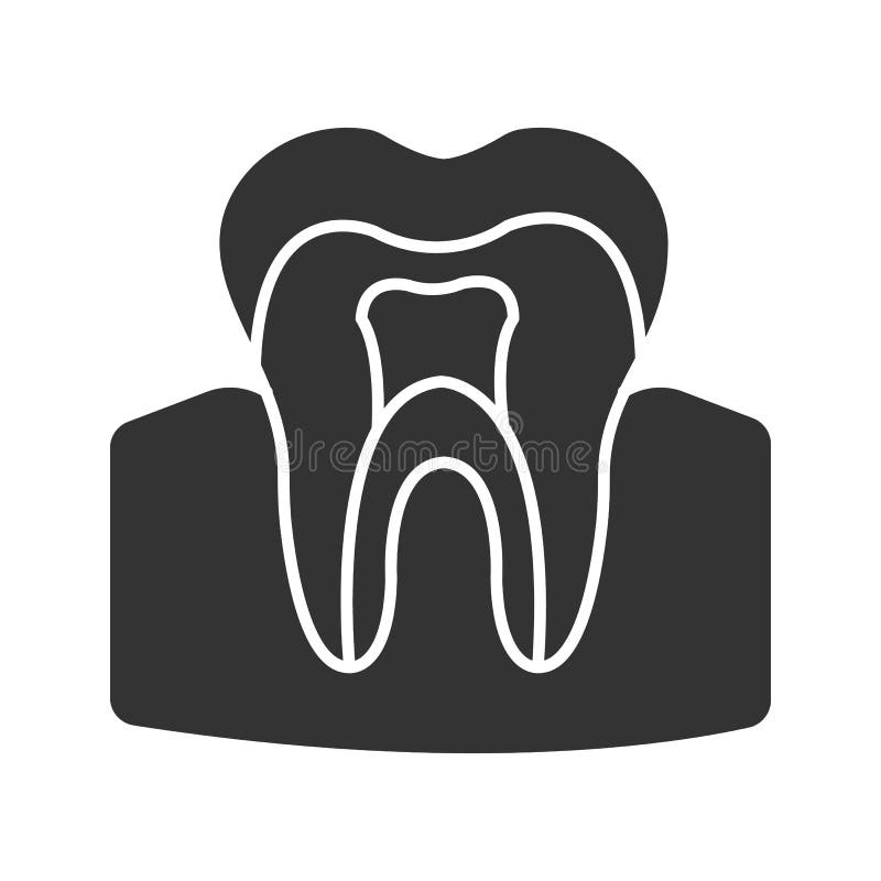 Tooth Anatomical Structure Glyph Icon Stock Vector - Illustration of ...