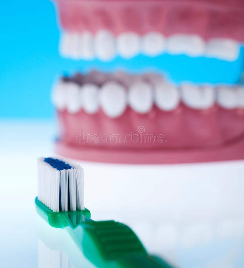 Tooth Anatomy, Bright Colorful Tone Concept Stock Image - Image of bone ...