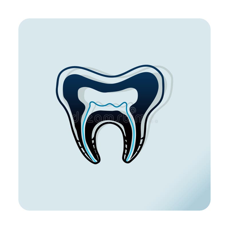 Tooth Anatomy. Vector Illustration Decorative Design Stock Vector ...