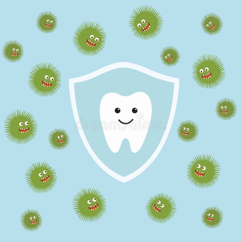 Tooth Germs Stock Illustrations – 471 Tooth Germs Stock Illustrations ...