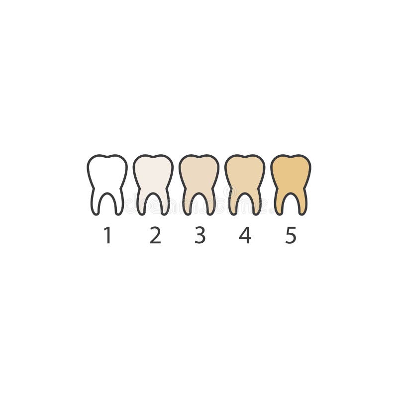Tooth Color Number Stock Illustrations – 351 Tooth Color Number Stock ...