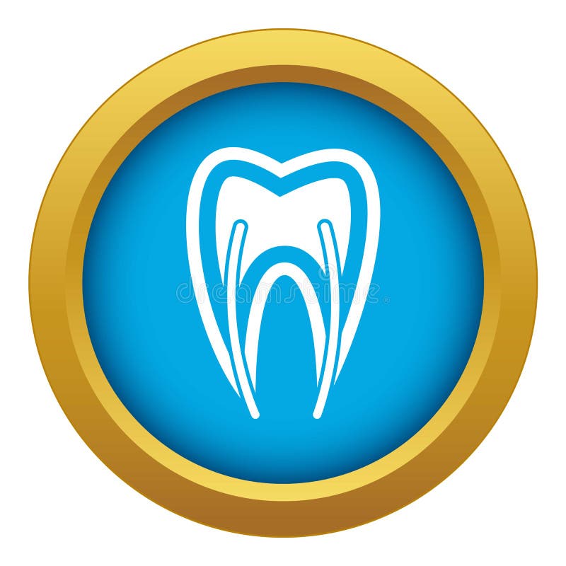 Tooth Cross Section Design Stock Illustrations – 129 Tooth Cross ...