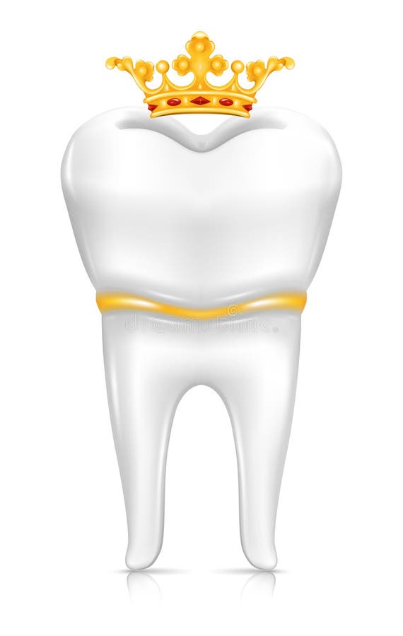Tooth in crown stock vector. Illustration of dentist - 13250246