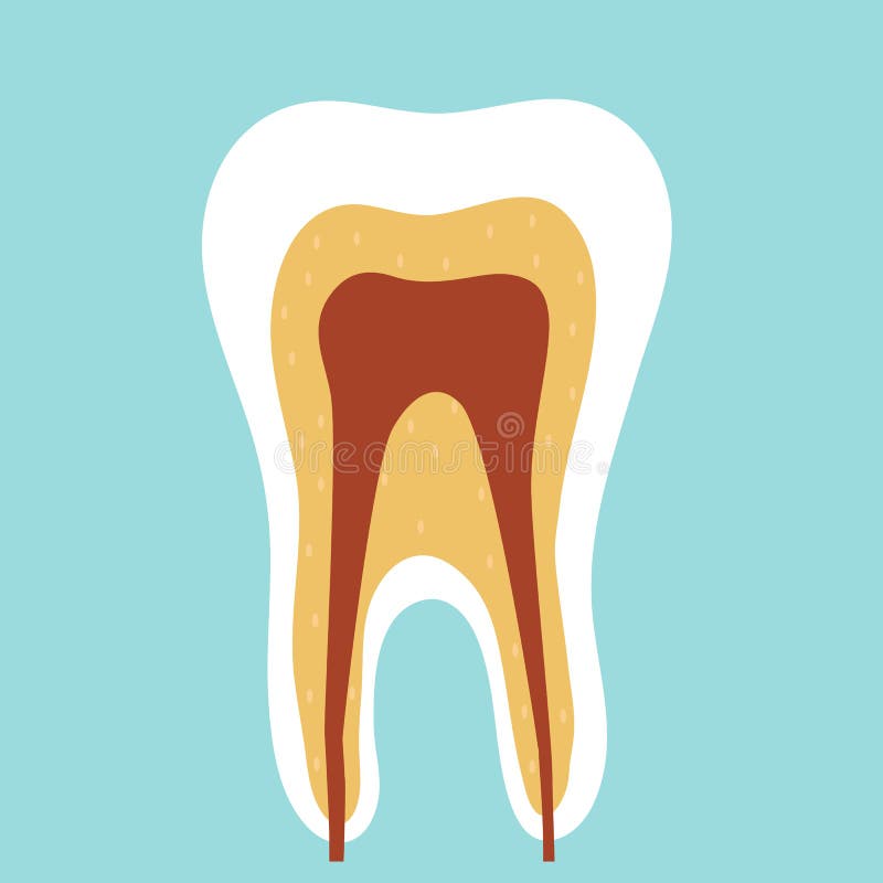 Tooth and Gum on a Blue Background. Icon Stock Vector - Illustration of ...