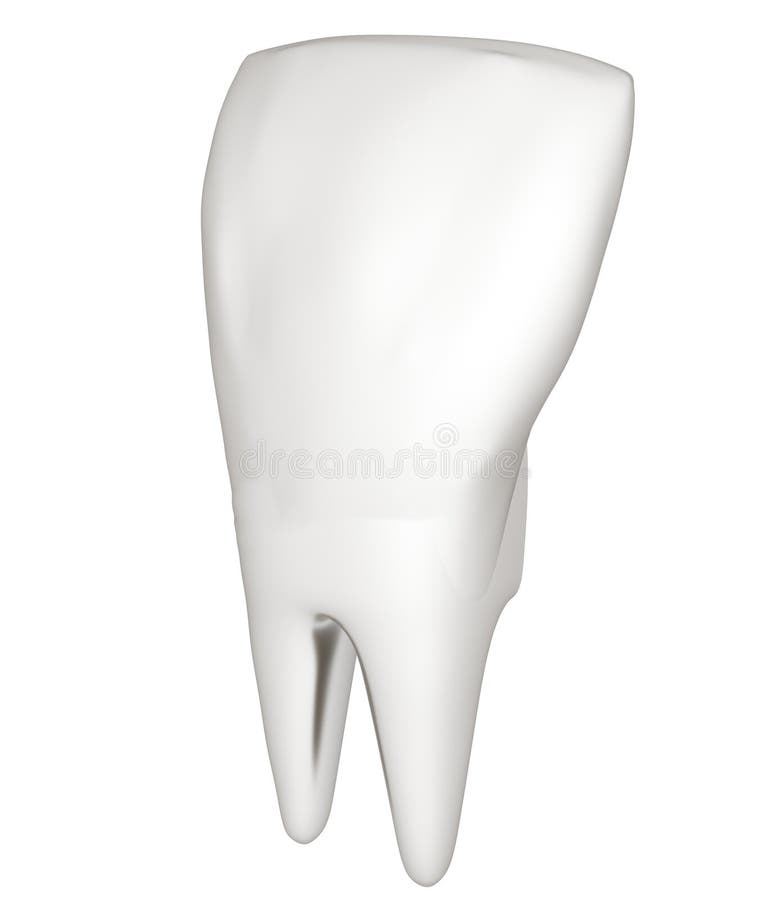 Tooth. 3d illustration stock illustration. Illustration of drawing ...