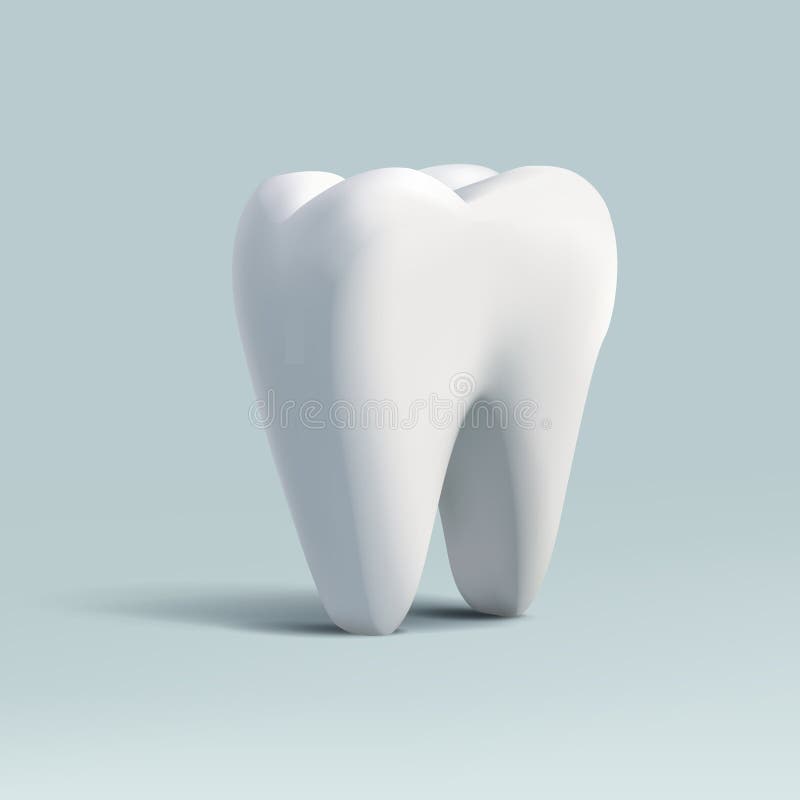 Tooth, 3D Render Vector Icon, Matte Realistic Illustration Stock Vector ...