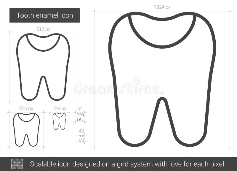 Molar Tooth stock vector. Illustration of anatomy, mouth - 20241308