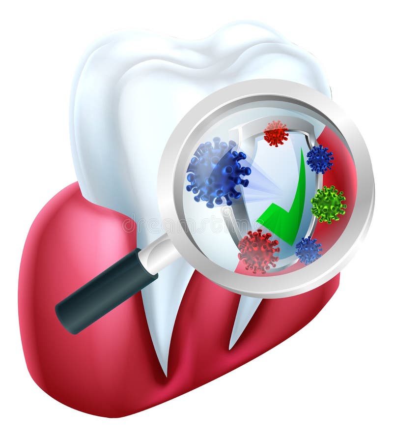 Shield Tooth and Gum stock vector. Illustration of healthcare - 98666937