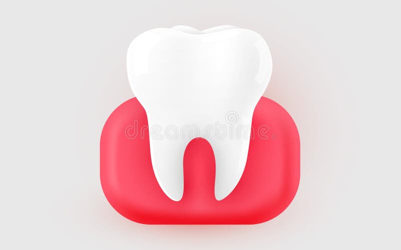 Tooth with Gum, 3D Illustration of a Tooth on a Light Background Stock ...