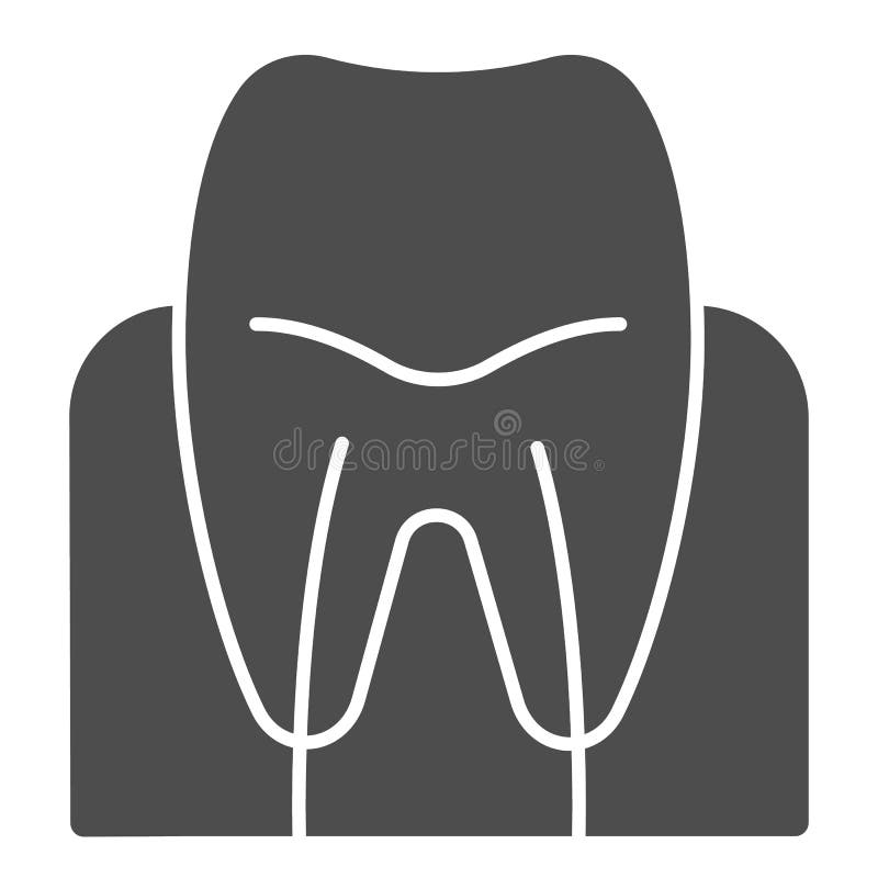 Tooth Gum Solid Icon. Tooth Root Vector Illustration Isolated on White ...
