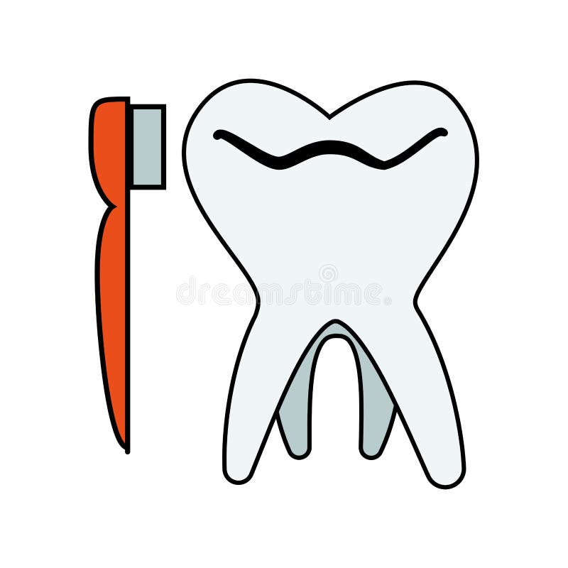 Tooth Human with Brush Vector Illustration Stock Illustration ...
