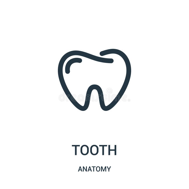 Tooth Icon Vector from Anatomy Collection. Thin Line Tooth Outline Icon ...